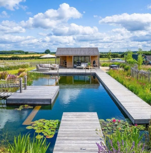 14 Inground Pool Styles to Inspire your Backyard Oasis ...