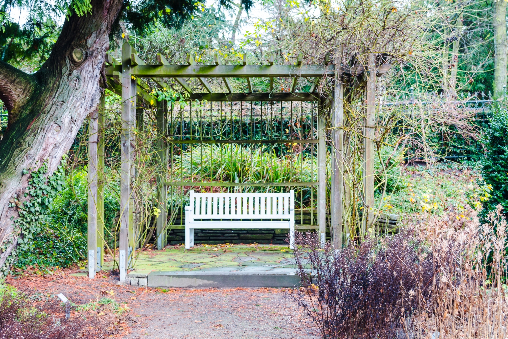 25 Pergola Ideas To Add Shade To Your Summer – YourHomeInspirations